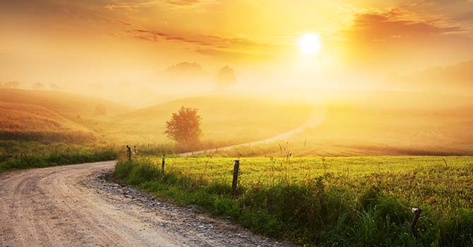 Year in Review: Helping Companies Get Back to Growth | Simon-Kucher