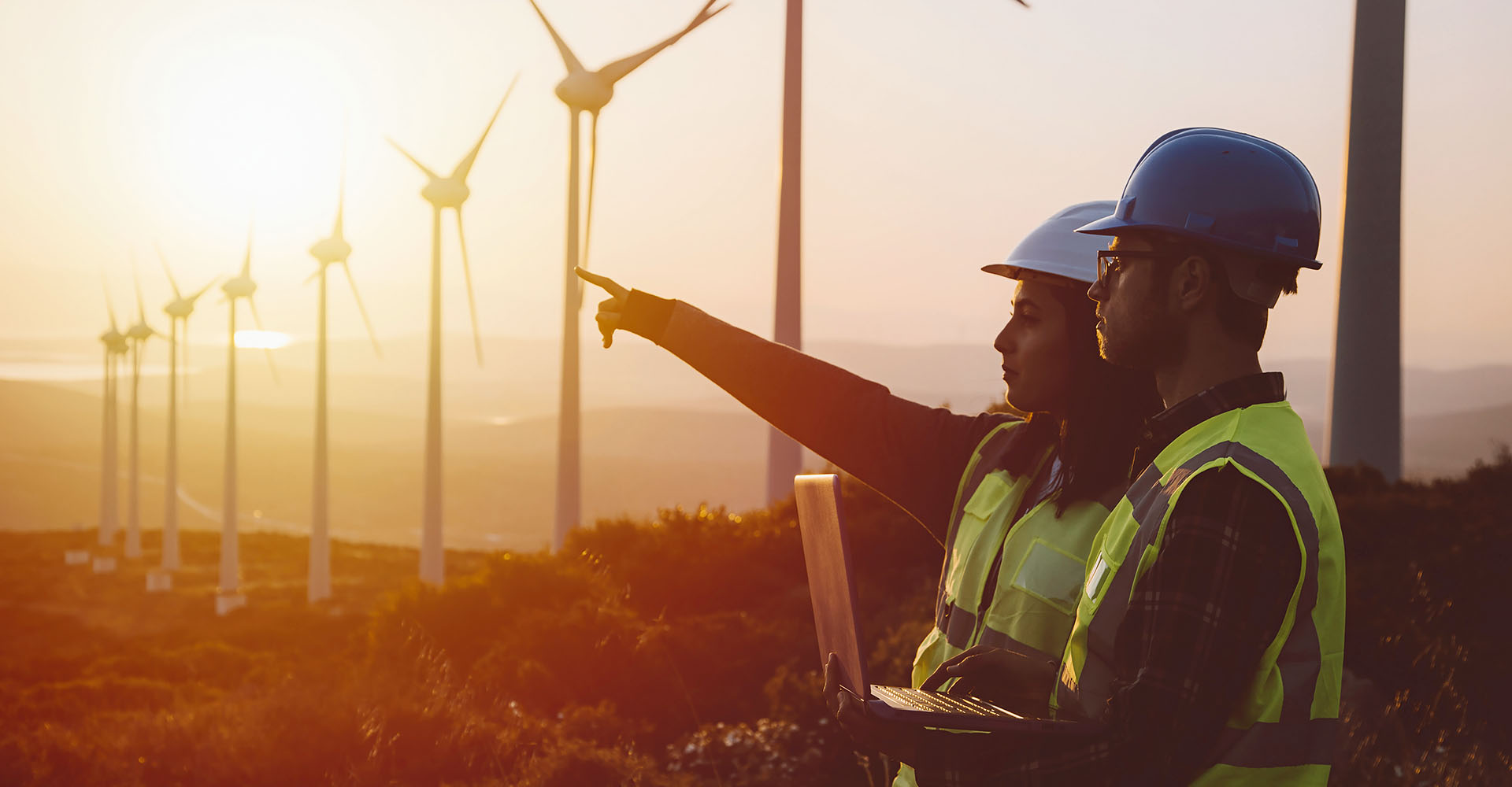 Exploring the commercial potential of sustainability | Simon-Kucher