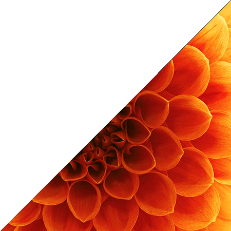 Why an OBPPC strategy is an essential lever of revenue growth ...