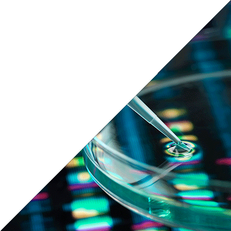 How to Best Measure Promotional Effectiveness & Calculate ROI