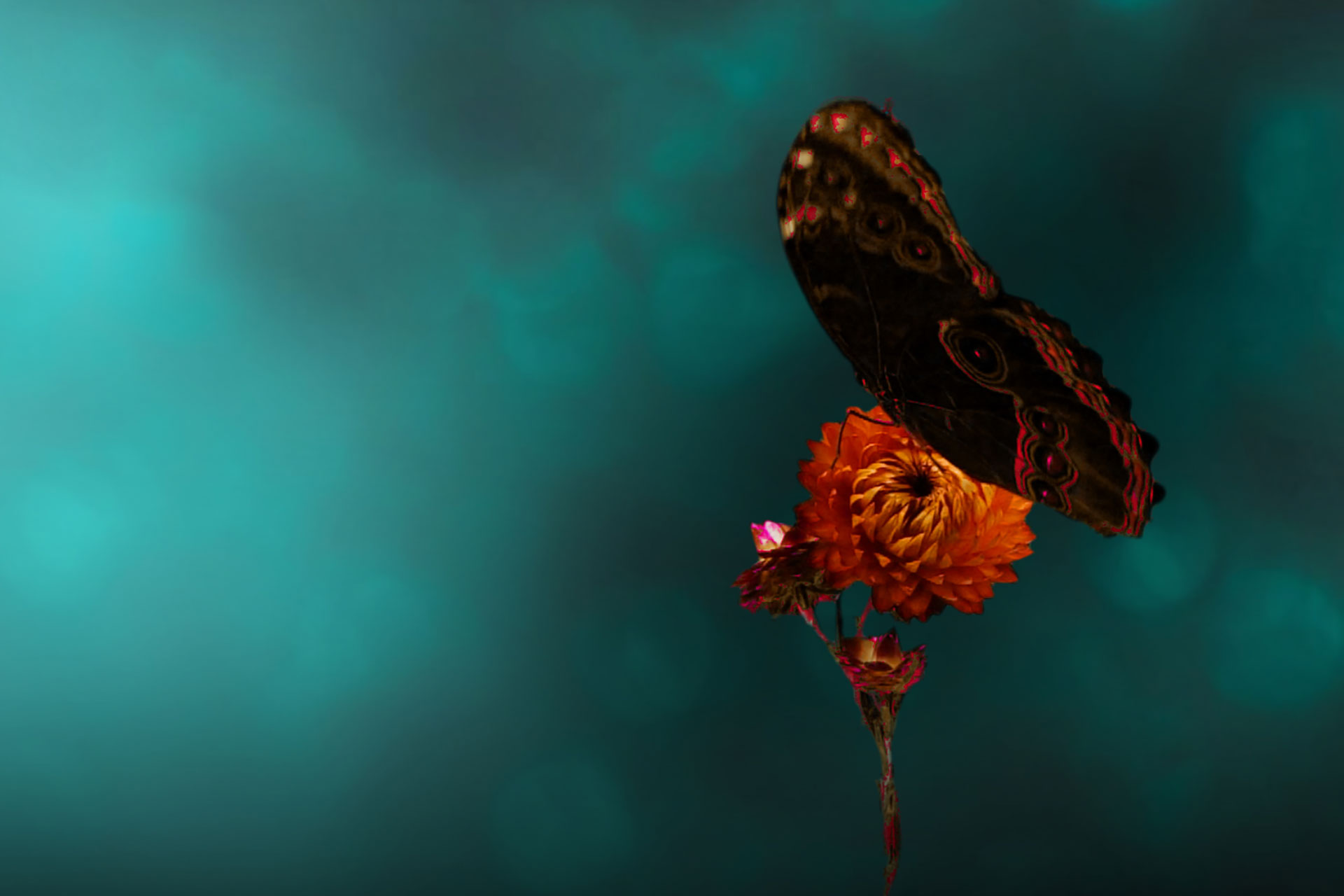 Environmental, Social, & Governance | Simon-Kucher